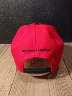 :::AA= OFFICIAL WEB SITE:::